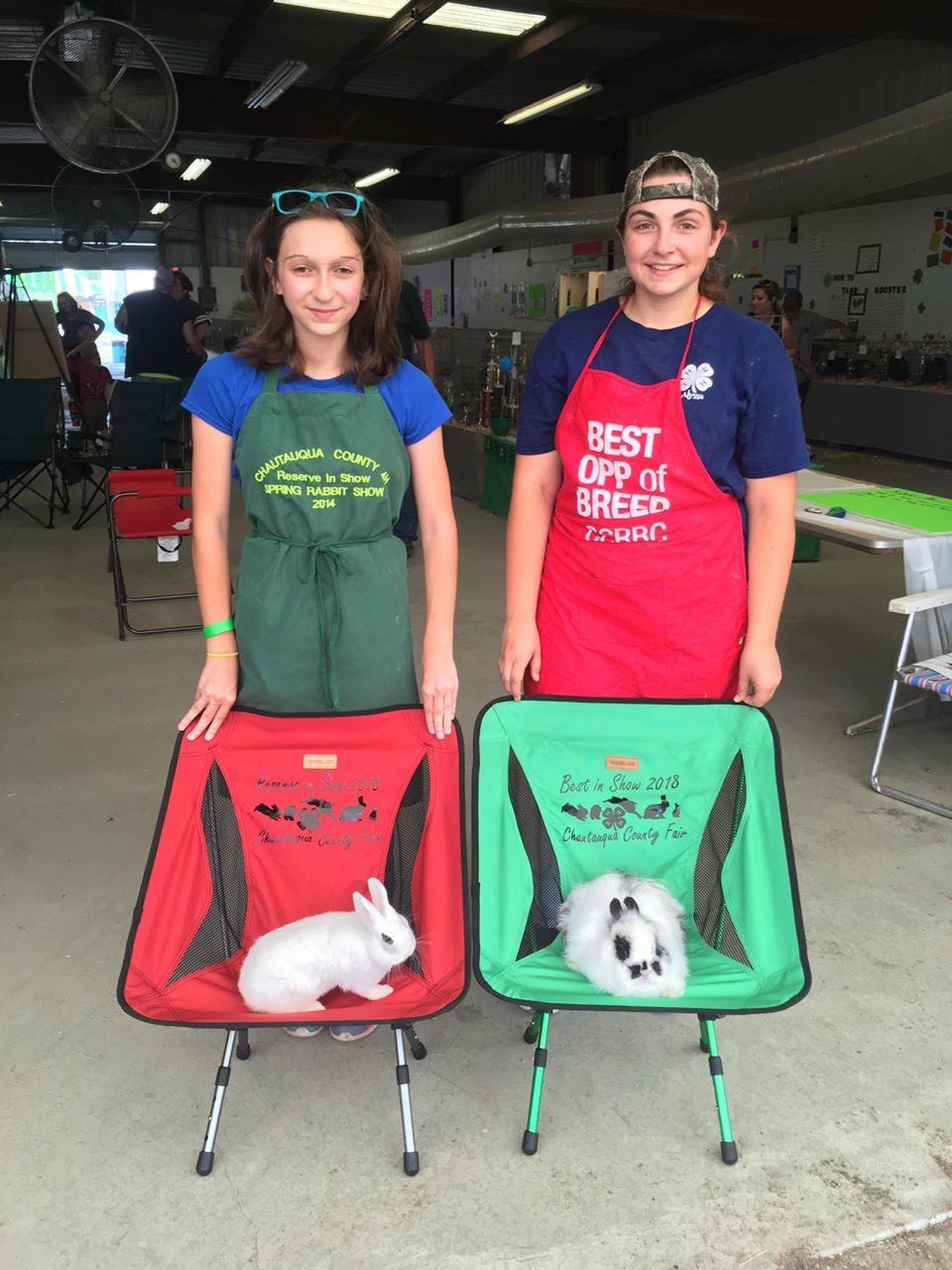 Fair Rabbit Show Winners Announced | News, Sports, Jobs - Post Journal